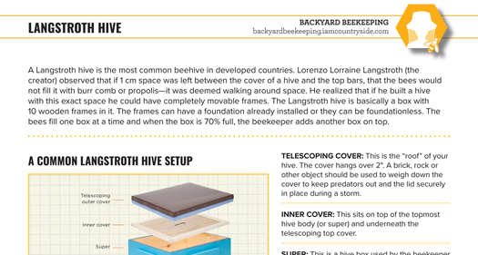 Common Langstroth Hive Setup - Backyard Beekeeping